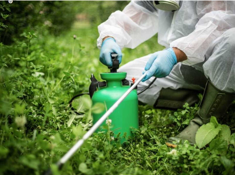 The Dangers of Over-Spraying: How to Apply Lawn Pesticides Safely - The ...