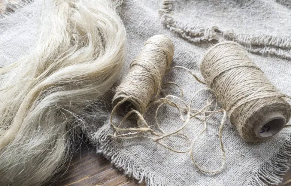 Why Choose 100% Natural Cotton Clothes as a Step Towards Environmental ...